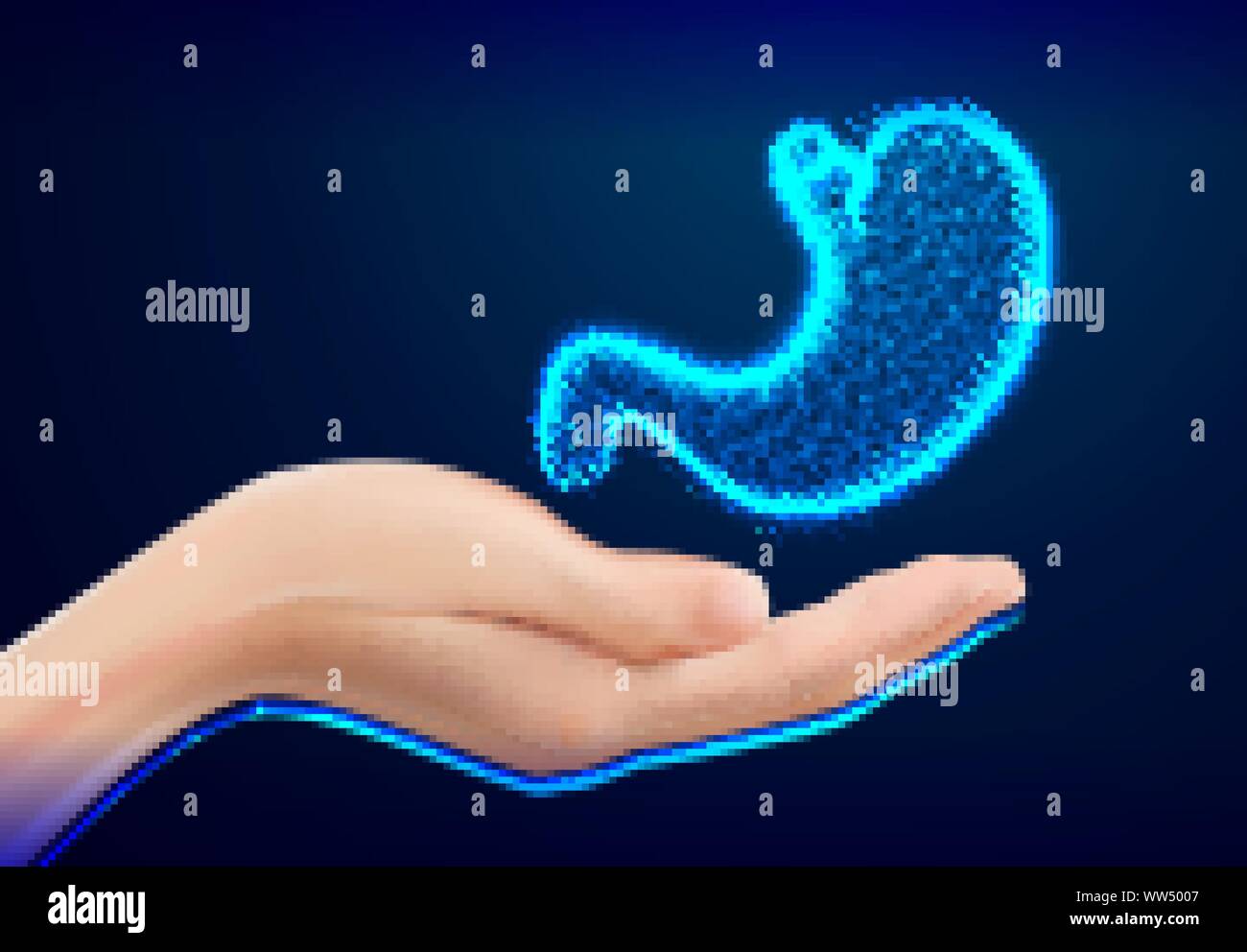 Female intestinal anatomy hi-res stock photography and images - Alamy