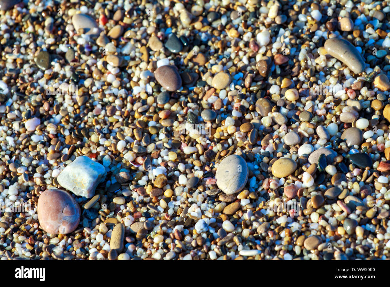sea pebbles colored granite on the beach background stones. The shore ...