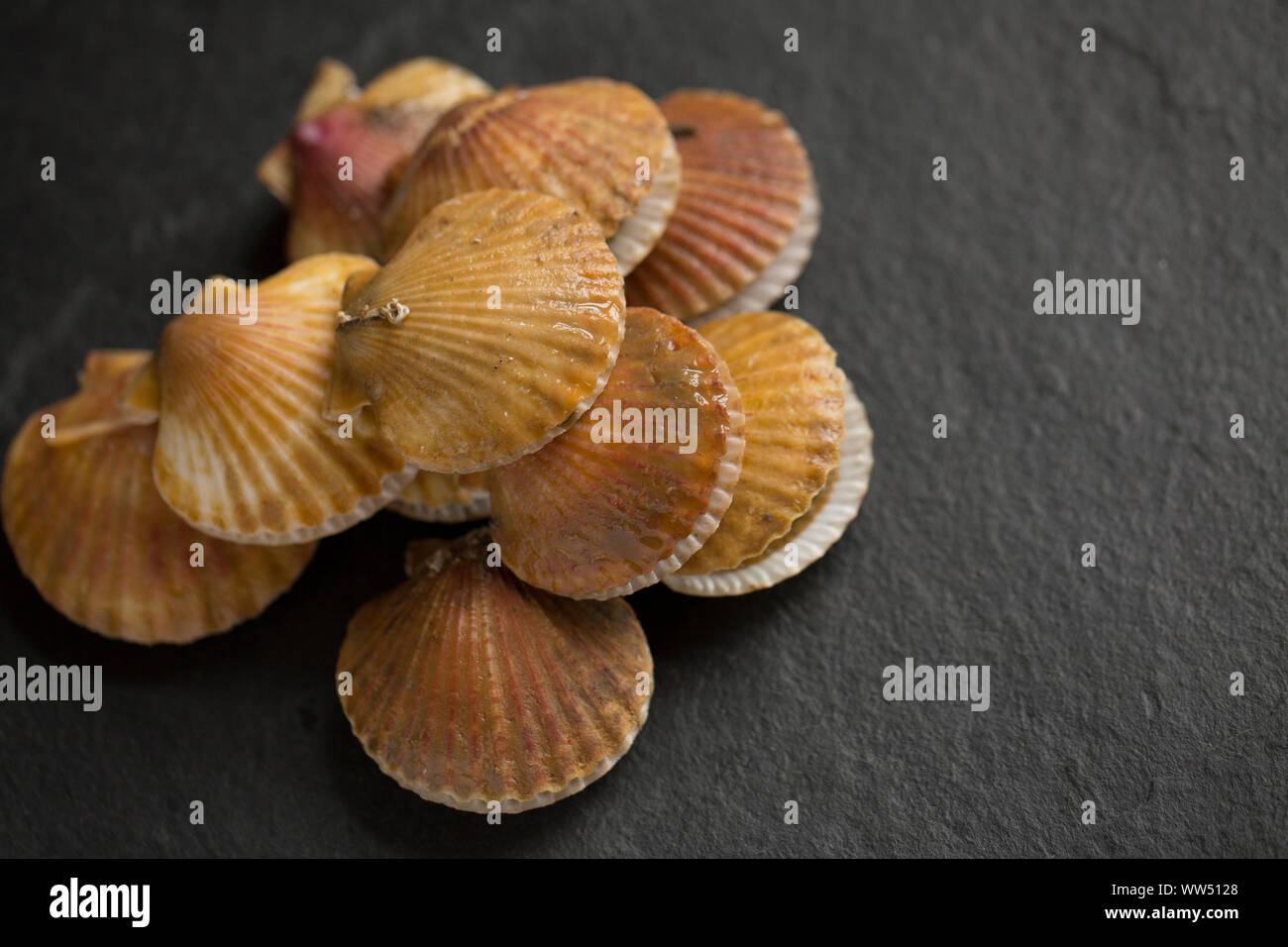 Raw scallops in shells hi-res stock photography and images - Alamy