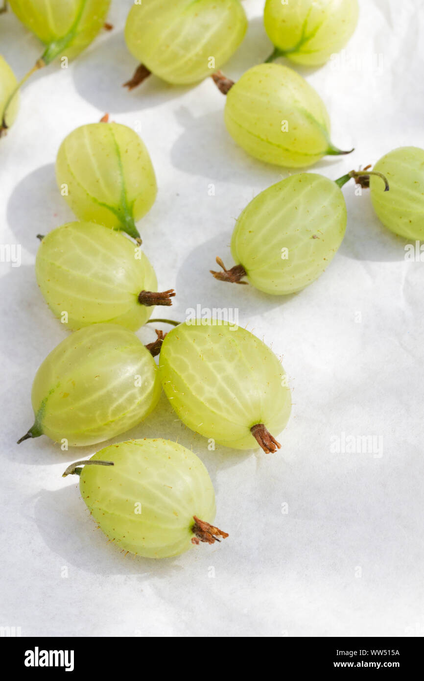 Five gooseberries hi-res stock photography and images - Alamy