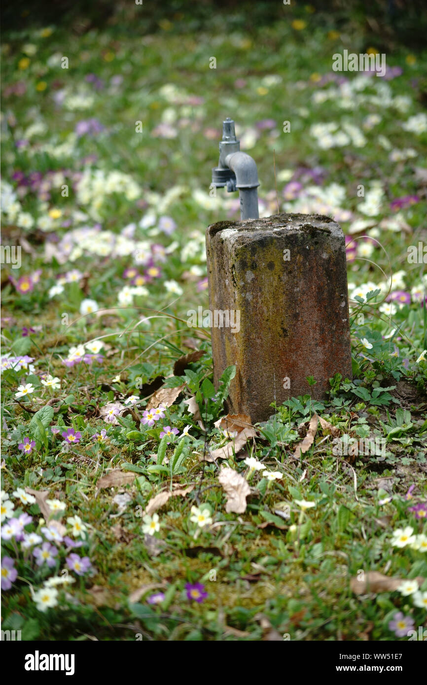 Tap water park hi-res stock photography and images - Alamy