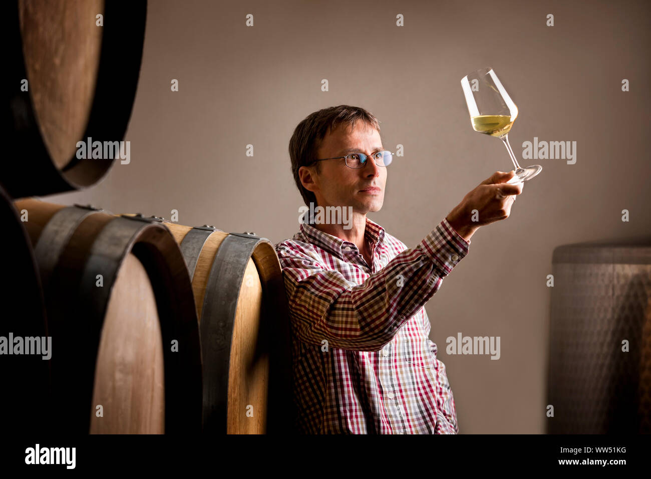 Winemaker analyzing a glass of white wine in cellar Stock Photo - Alamy