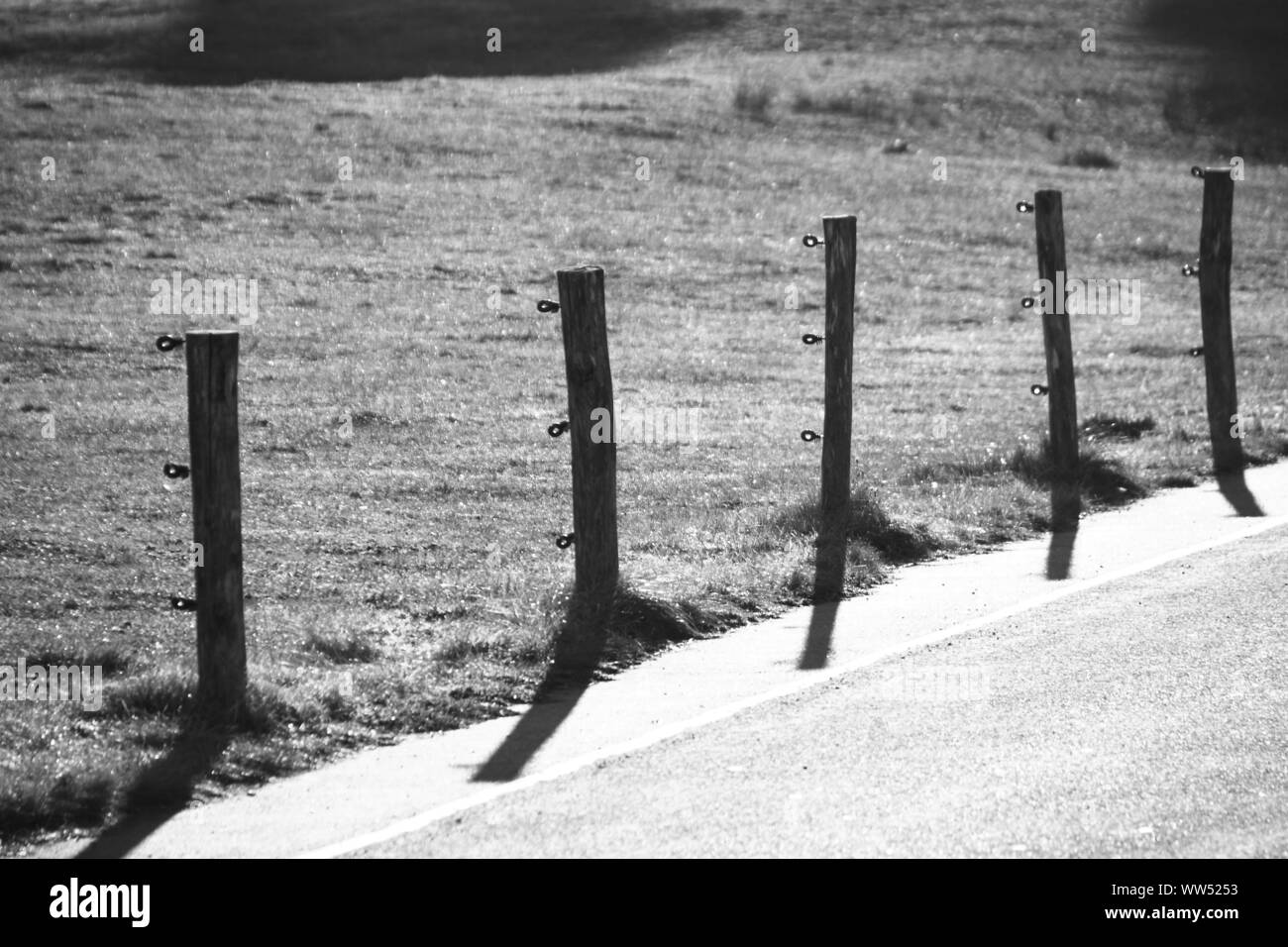 Wooden stakes hi-res stock photography and images - Alamy