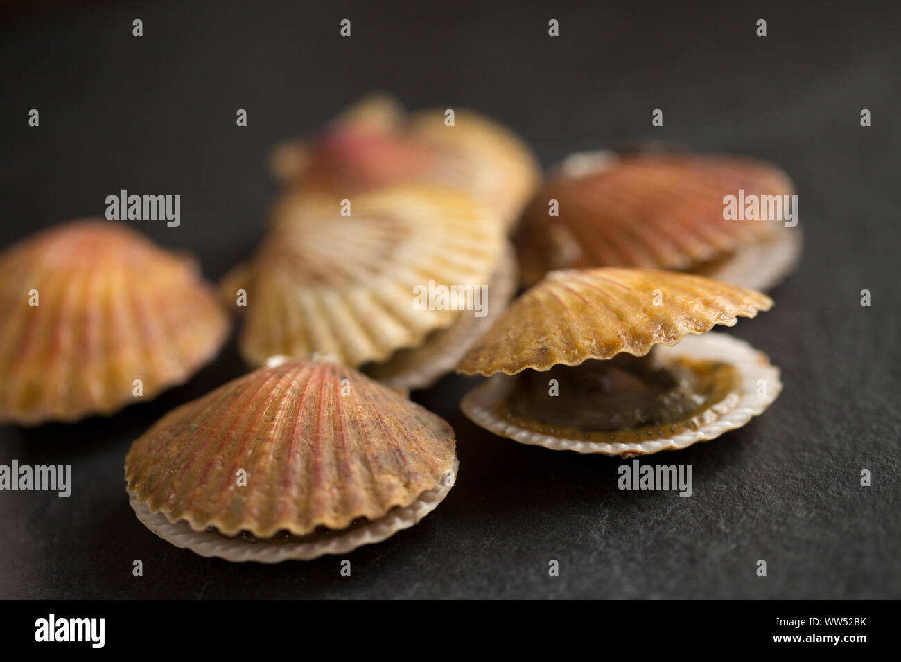 Queenies hi-res stock photography and images - Alamy