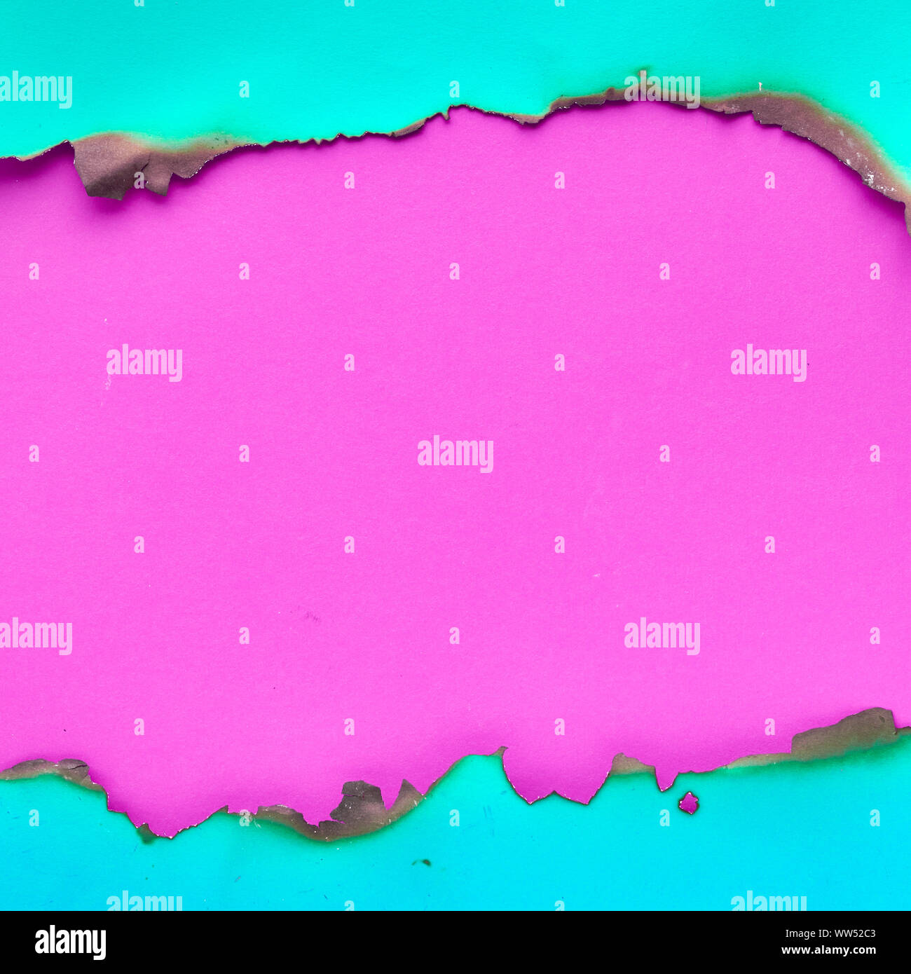 Mint color paper frame with burned edges, flat lay on glowing purple ...