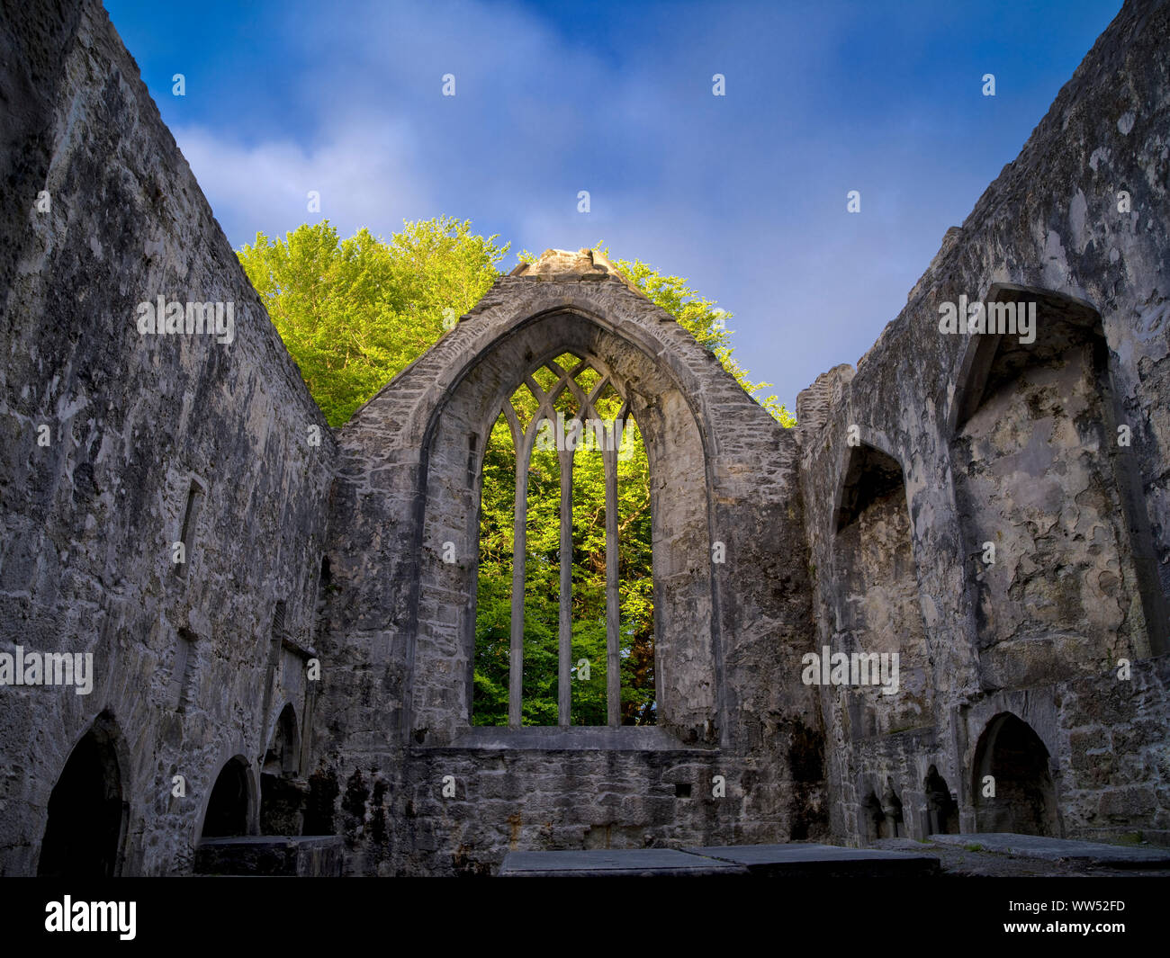 Muckross National Park High Resolution Stock Photography and Images - Alamy