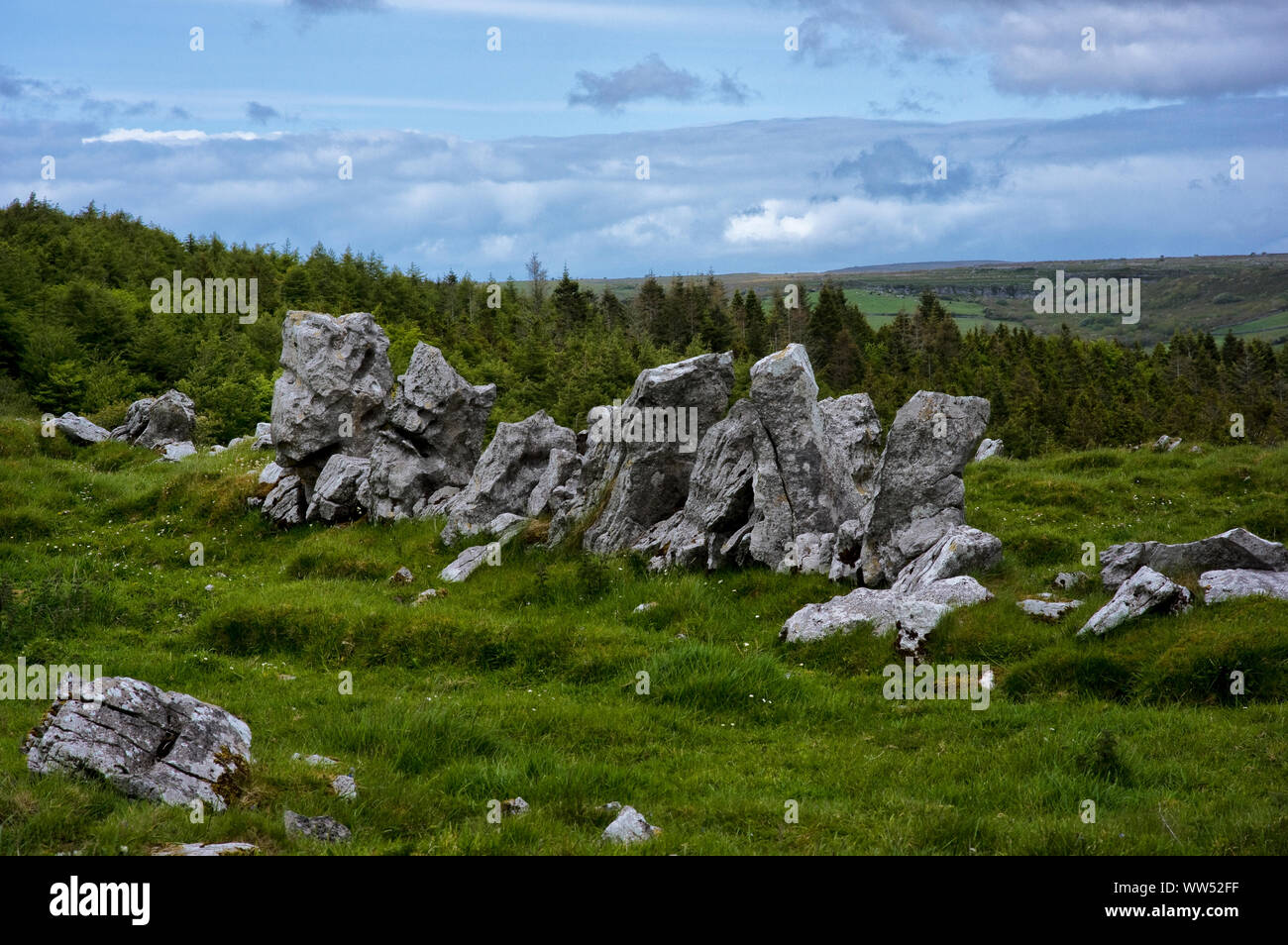 Ireland, County Clare, boulder in the karstland of the Burren Stock ...