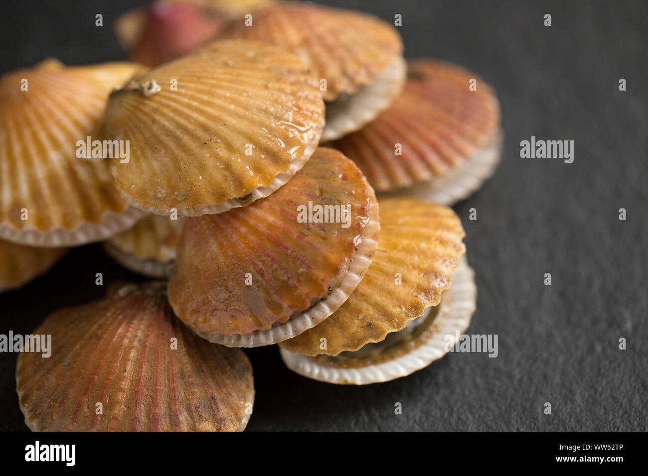 Queenies hi-res stock photography and images - Alamy