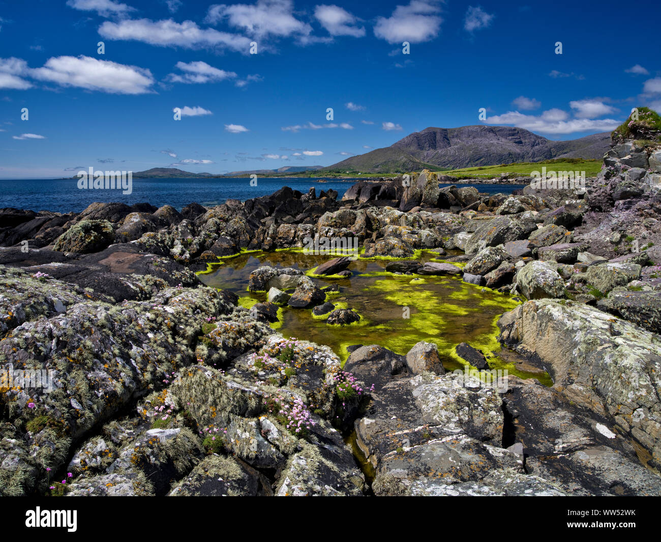 Ireland, County Cork, coastal landscape at the Bantry Bay Stock Photo ...