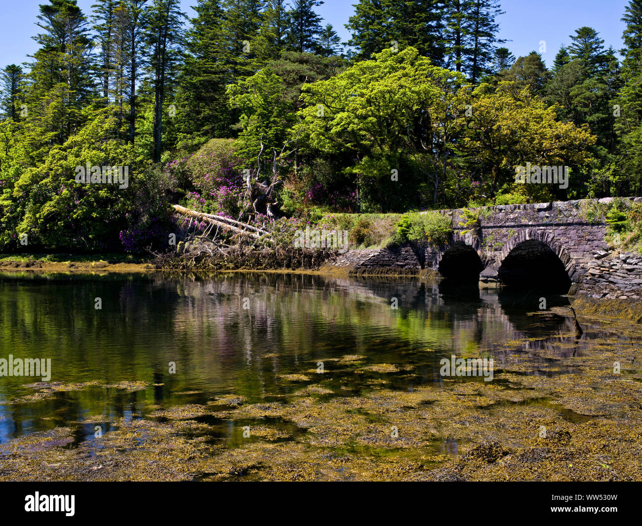 Ireland, County Kerry, Lauragh, stone bridge in Kilmakillogh Harbour ...