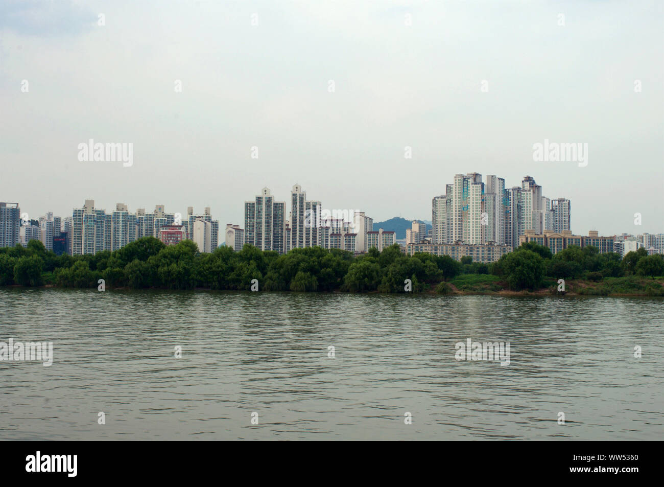 Hang river in Seoul in the evening with seagulls Stock Photo - Alamy