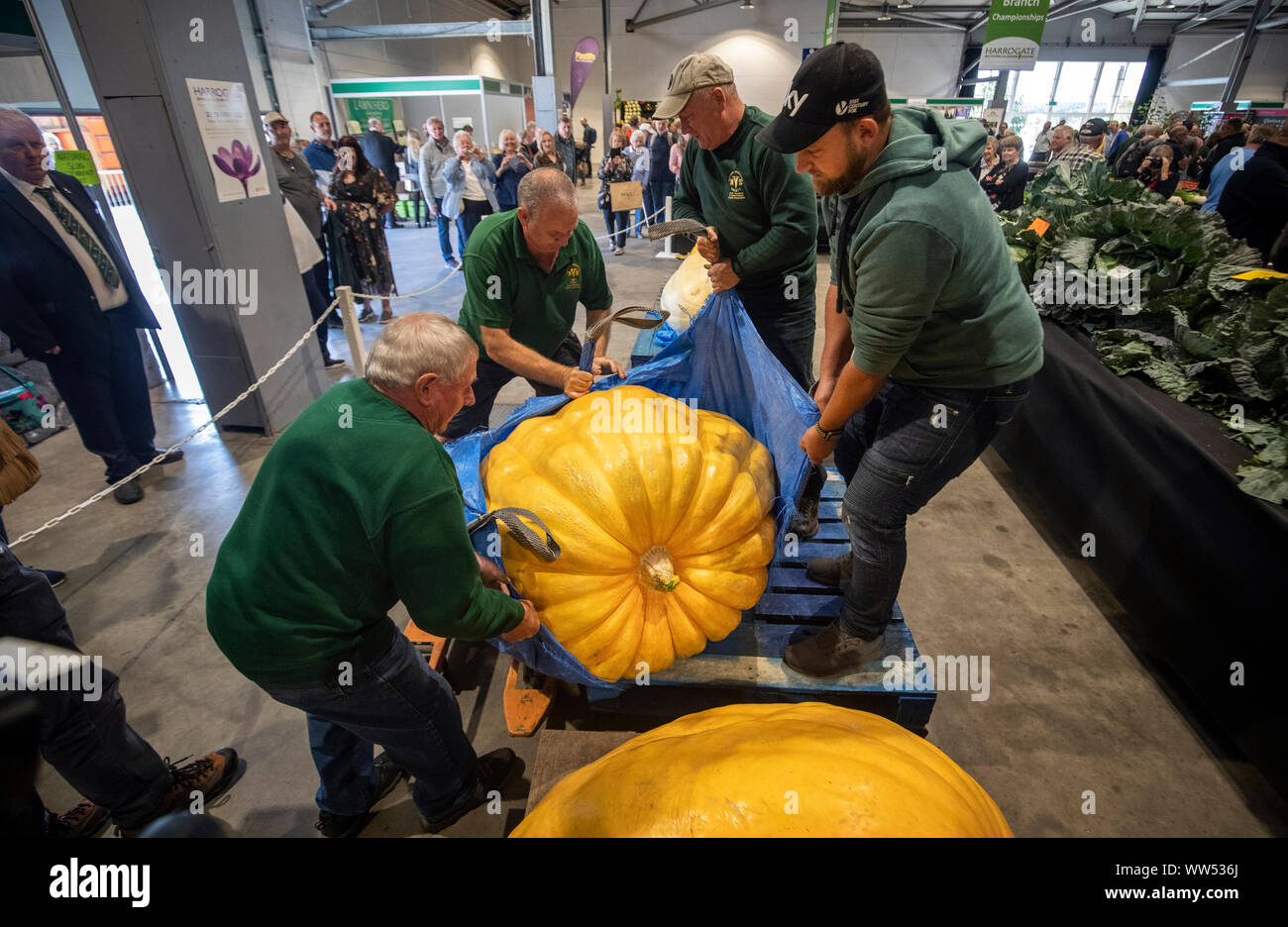 A giant pumpkin is weighed as judging takes place during the Giant ...