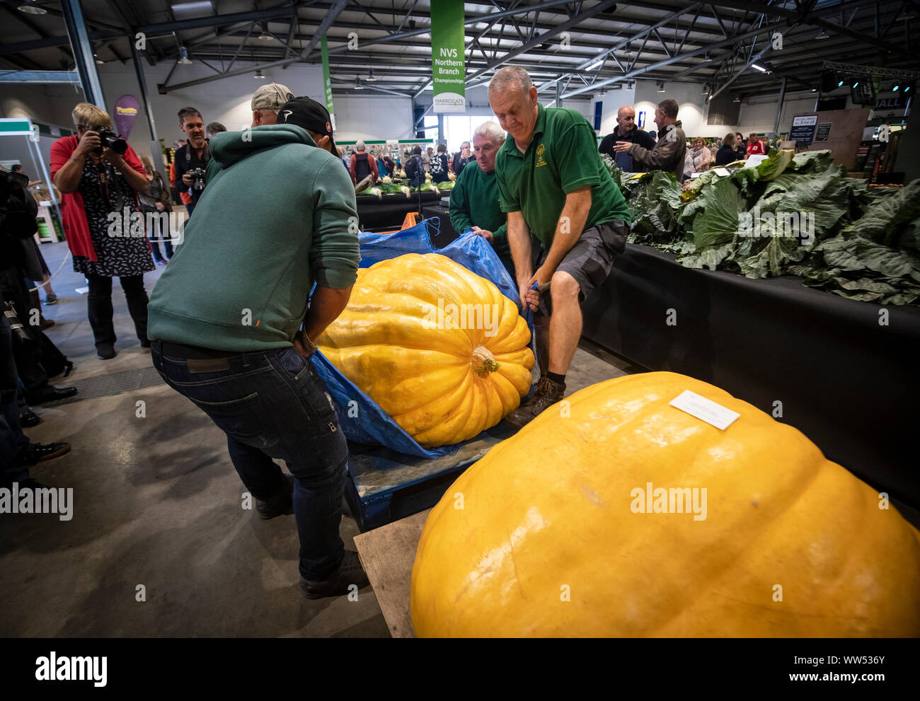 A giant pumpkin is weighed as judging takes place during the Giant ...