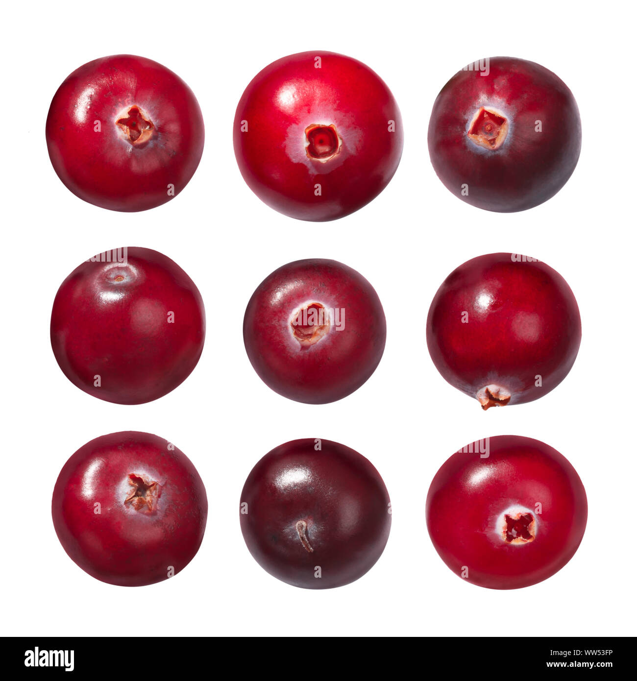 Cranberries (Vaccinium oxycoccus), isolated, top view, single berries ...