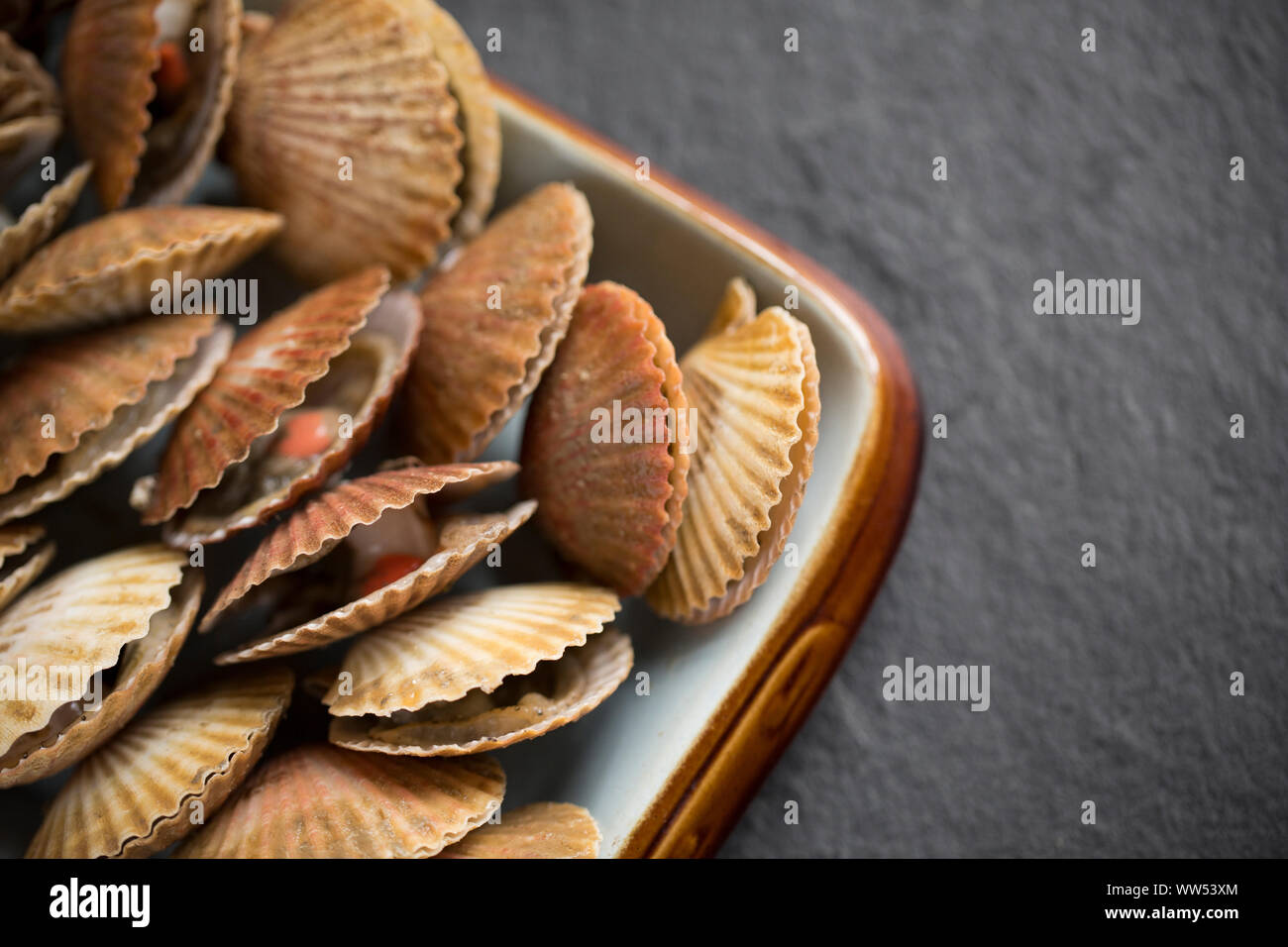 Raw, uncooked Queen scallops, Aequipecten opercularis, in their shells ...
