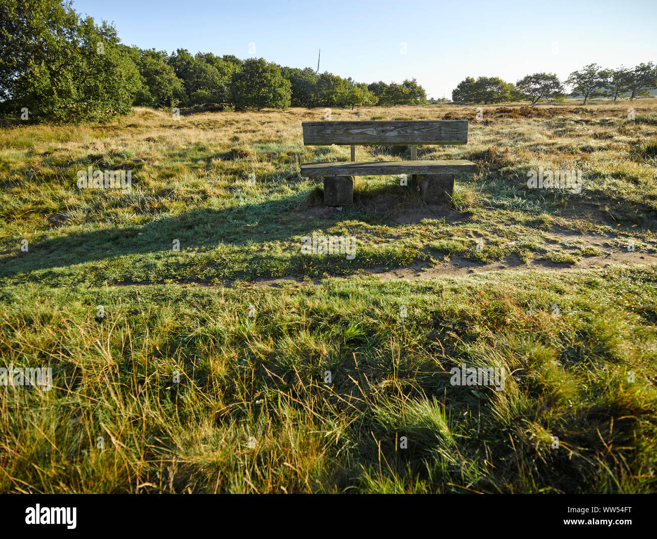 Backbend bench hi-res stock photography and images - Alamy