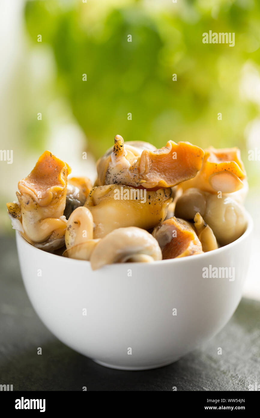 Whelks hi-res stock photography and images - Alamy