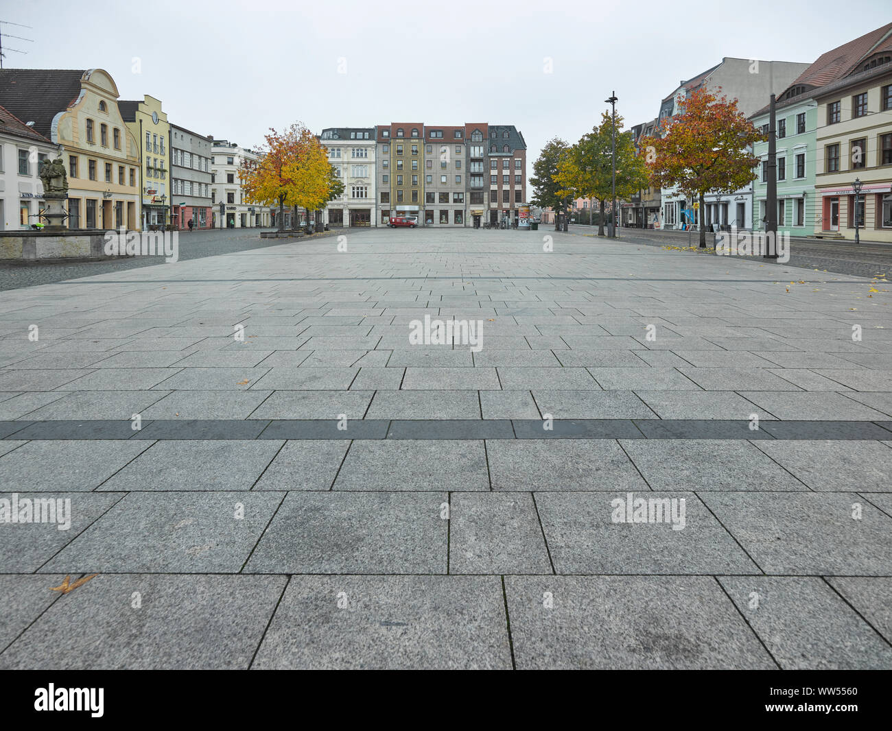 Square of trees hi-res stock photography and images - Alamy