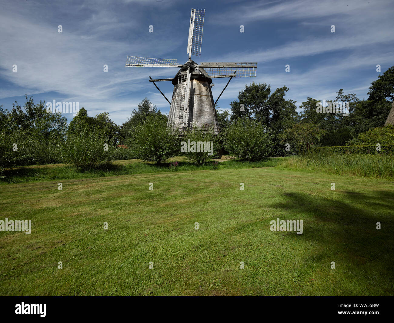 Windmill with meadow and trees Stock Photo - Alamy
