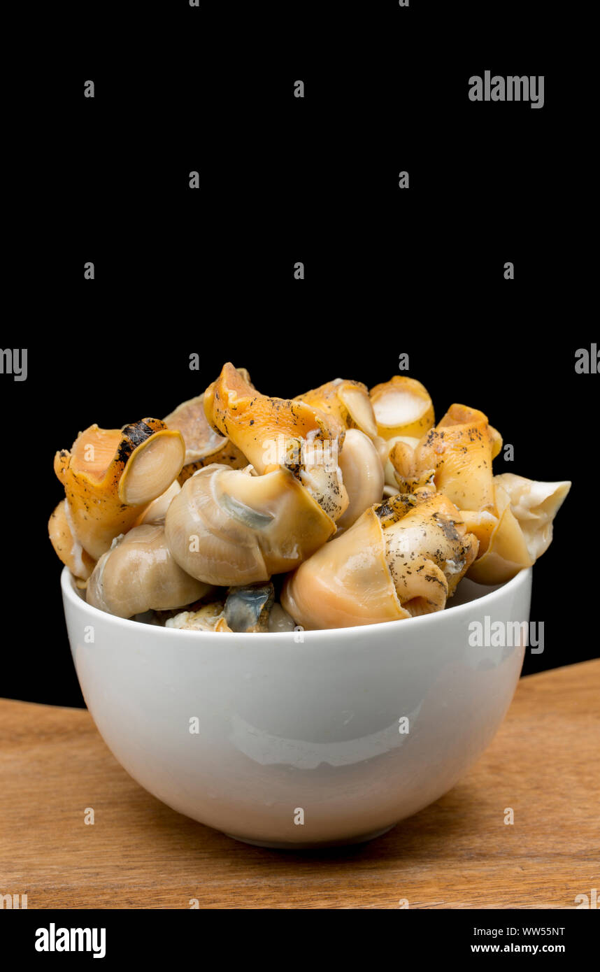 Whelks black background hi-res stock photography and images - Alamy