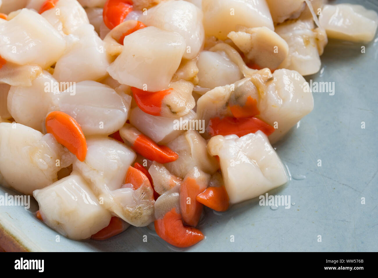 Raw, uncooked Queen scallops, Aequipecten opercularis, that have been ...