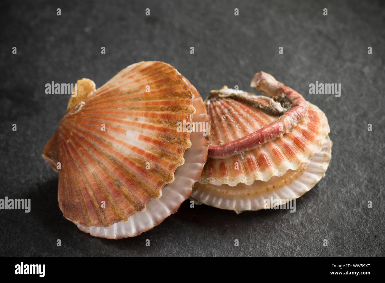 Example uk food hi-res stock photography and images - Alamy