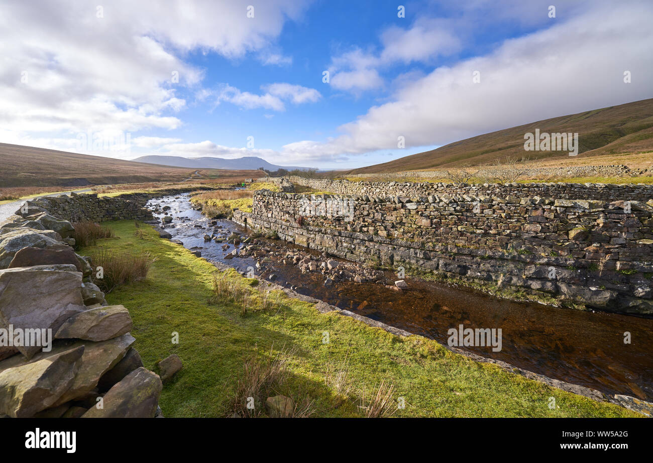 The Little Dale Beck river with the summits of Park Fell, Simon Fell ...