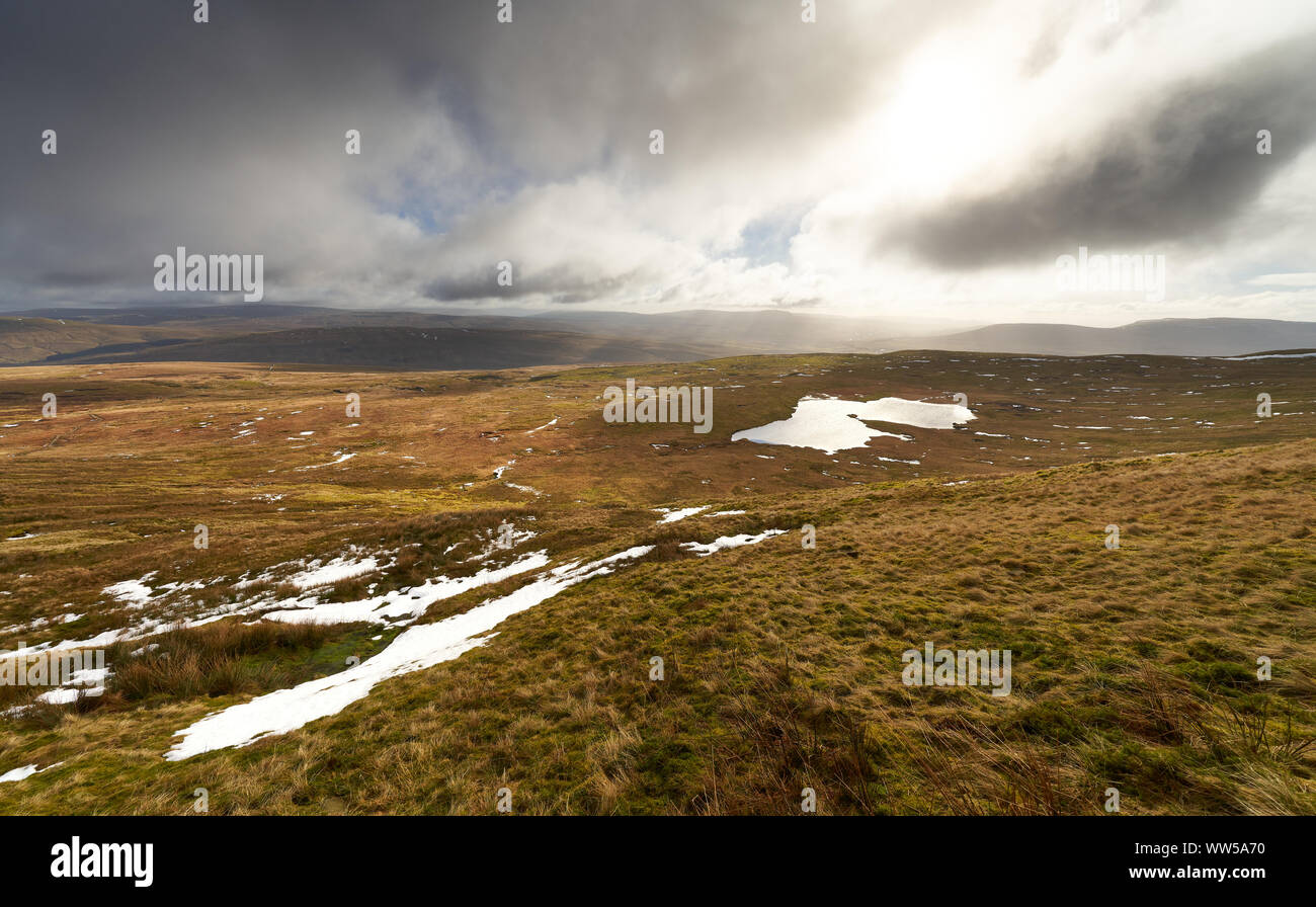 Blea Moors below the summit of Whernside, part of the Three Peaks in ...