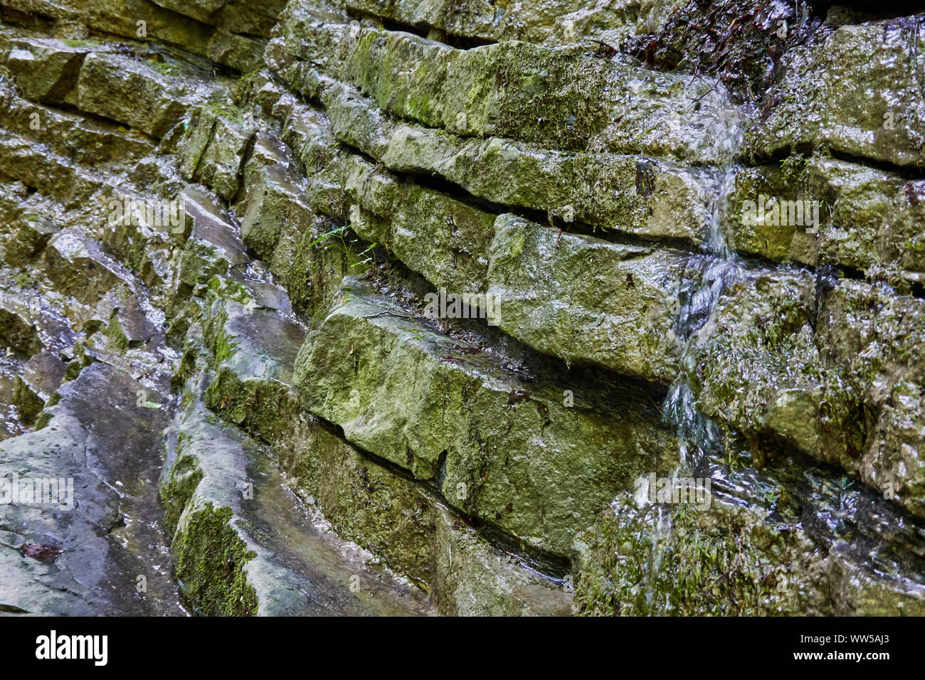 Layered slabs of Triassic limestone in the Alps, with equidistant layer ...
