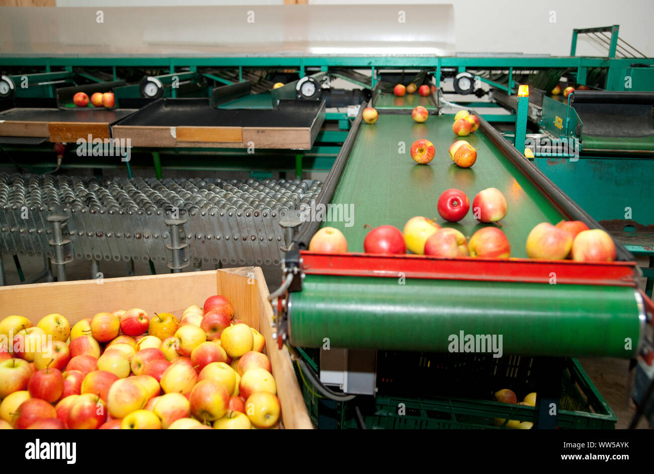 How you like them apples hi-res stock photography and images - Alamy