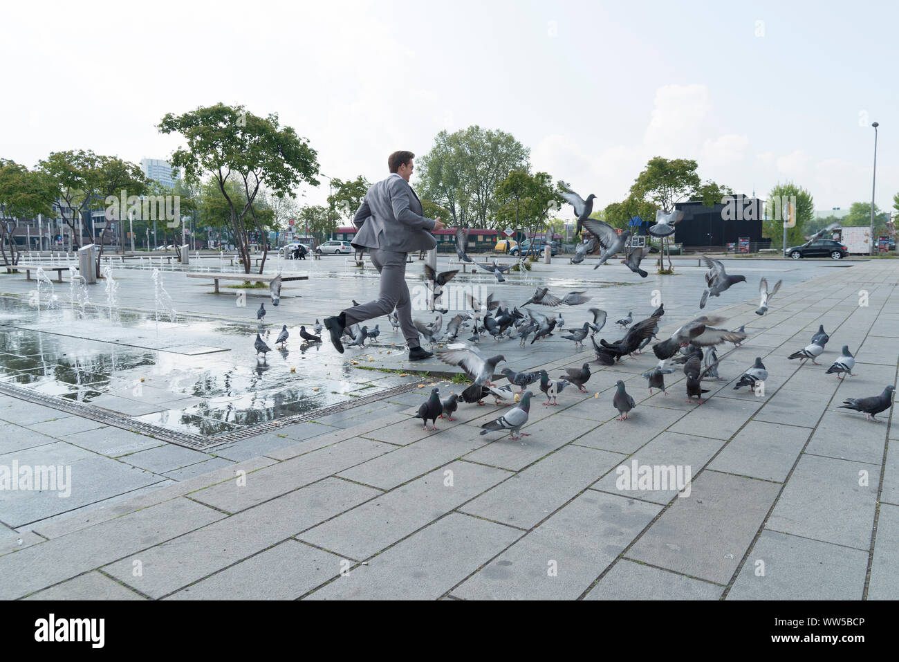 Man in grey suit running through pigeon crowd Stock Photo - Alamy