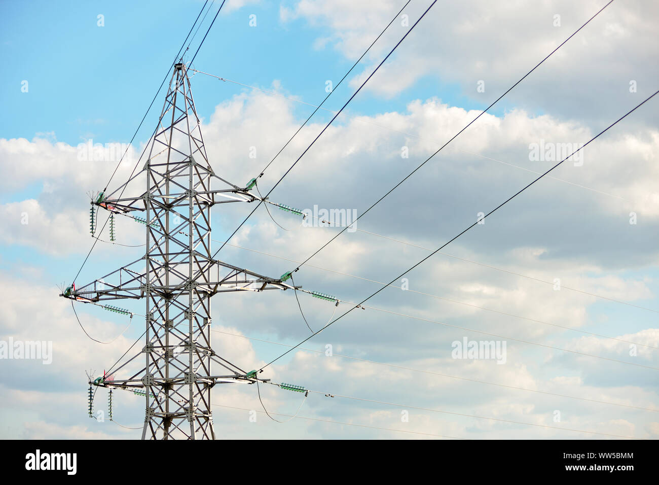 Power lines with protection from birds. Bird protection of high-voltage ...