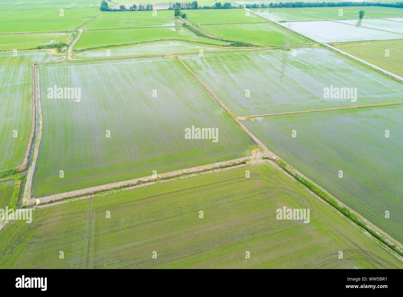 Flood cultivation hi-res stock photography and images - Alamy