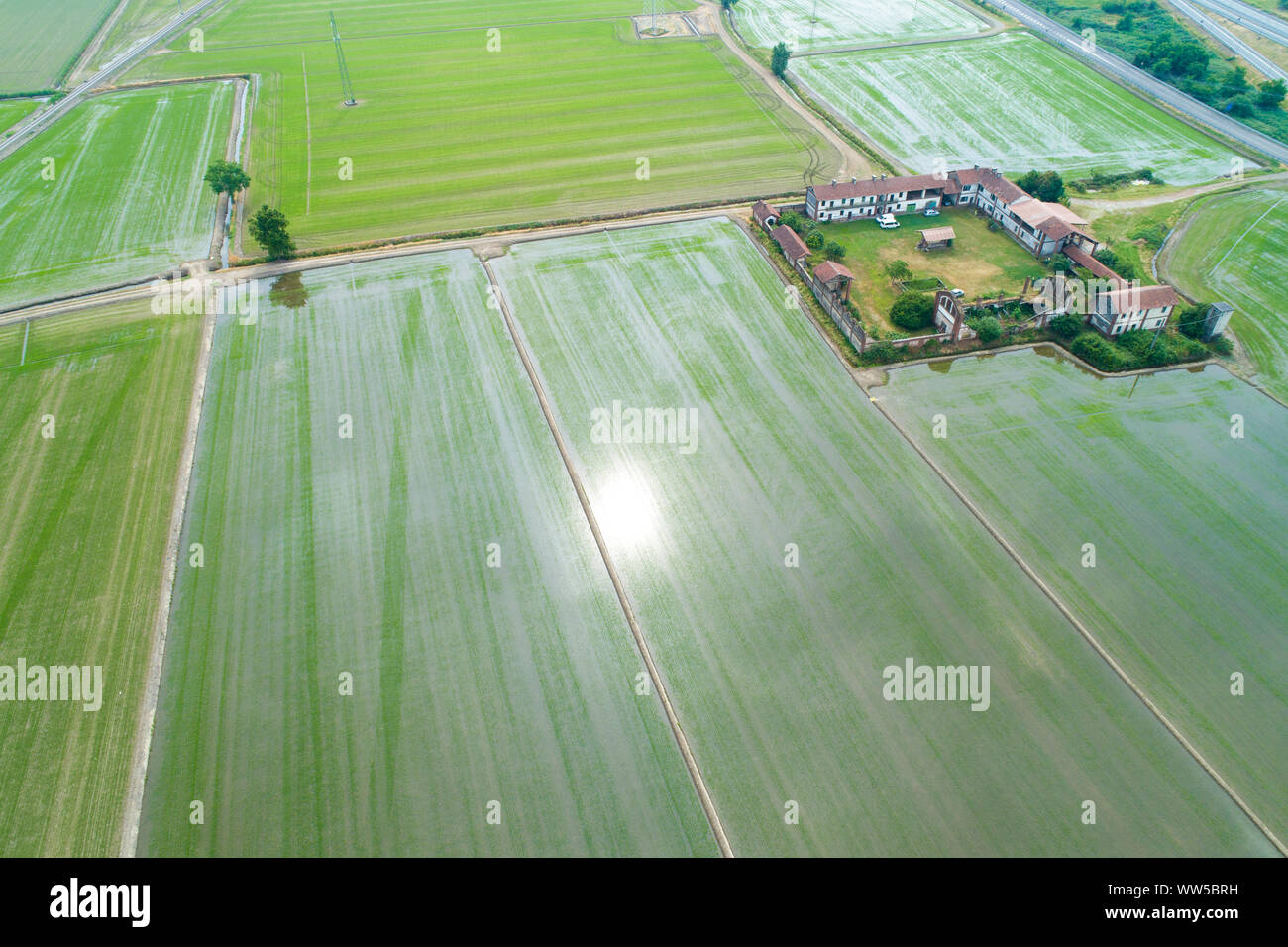 Paddy rice field hi-res stock photography and images - Alamy