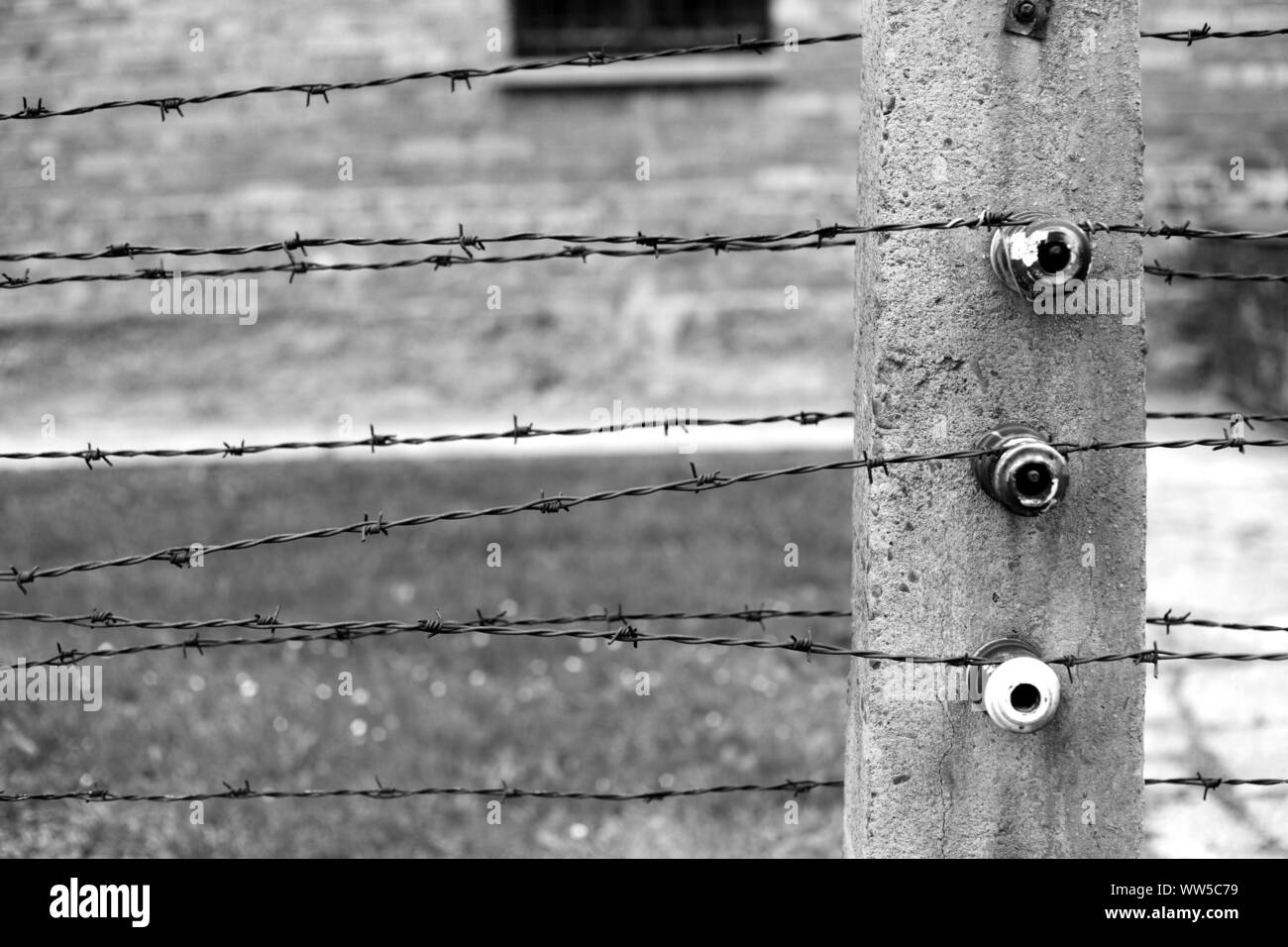 Electric barbed wire fence, death camp Auschwitz I, Auschwitz, Lesser ...