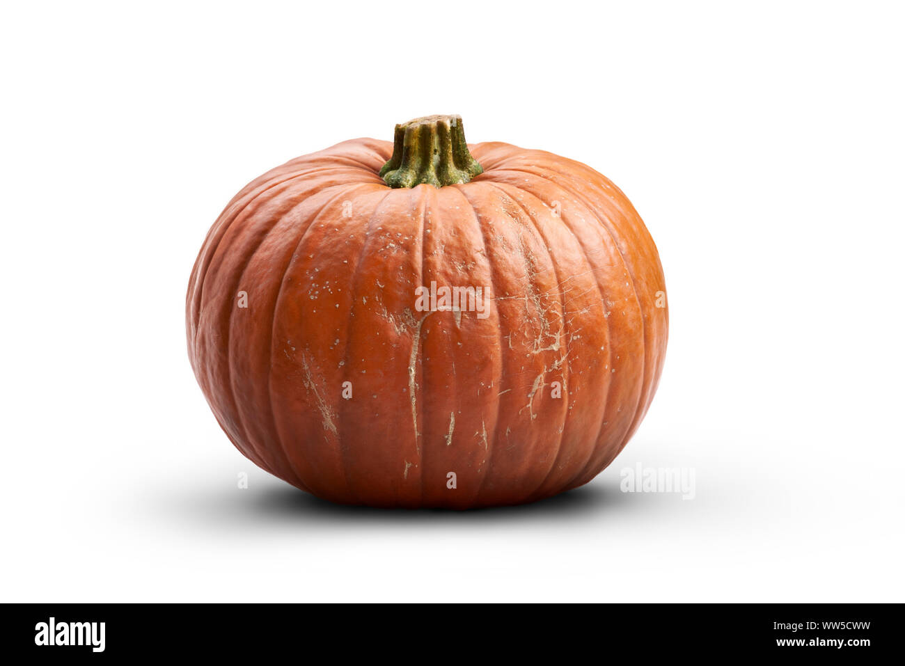 A side view of a ripe orange pumpkin isolated on a white background ...