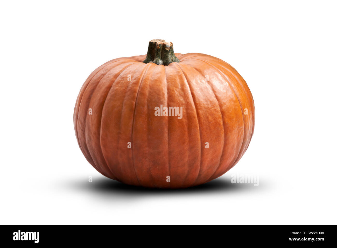 A side view of a ripe orange pumpkin isolated on a white background ...