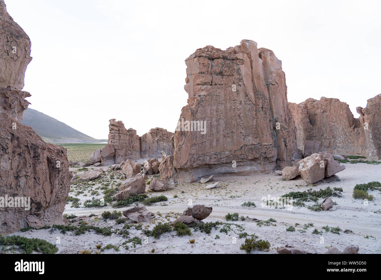 The Bolivia salt desert- Salar de Uyuni Stock Photo - Alamy