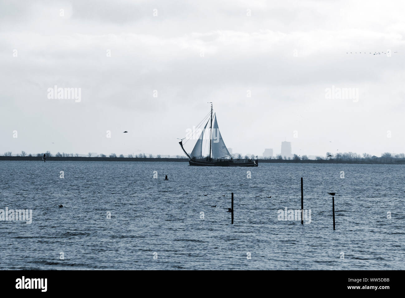 The IJsselmeer at Volendam in the Netherlands with a traditional ...