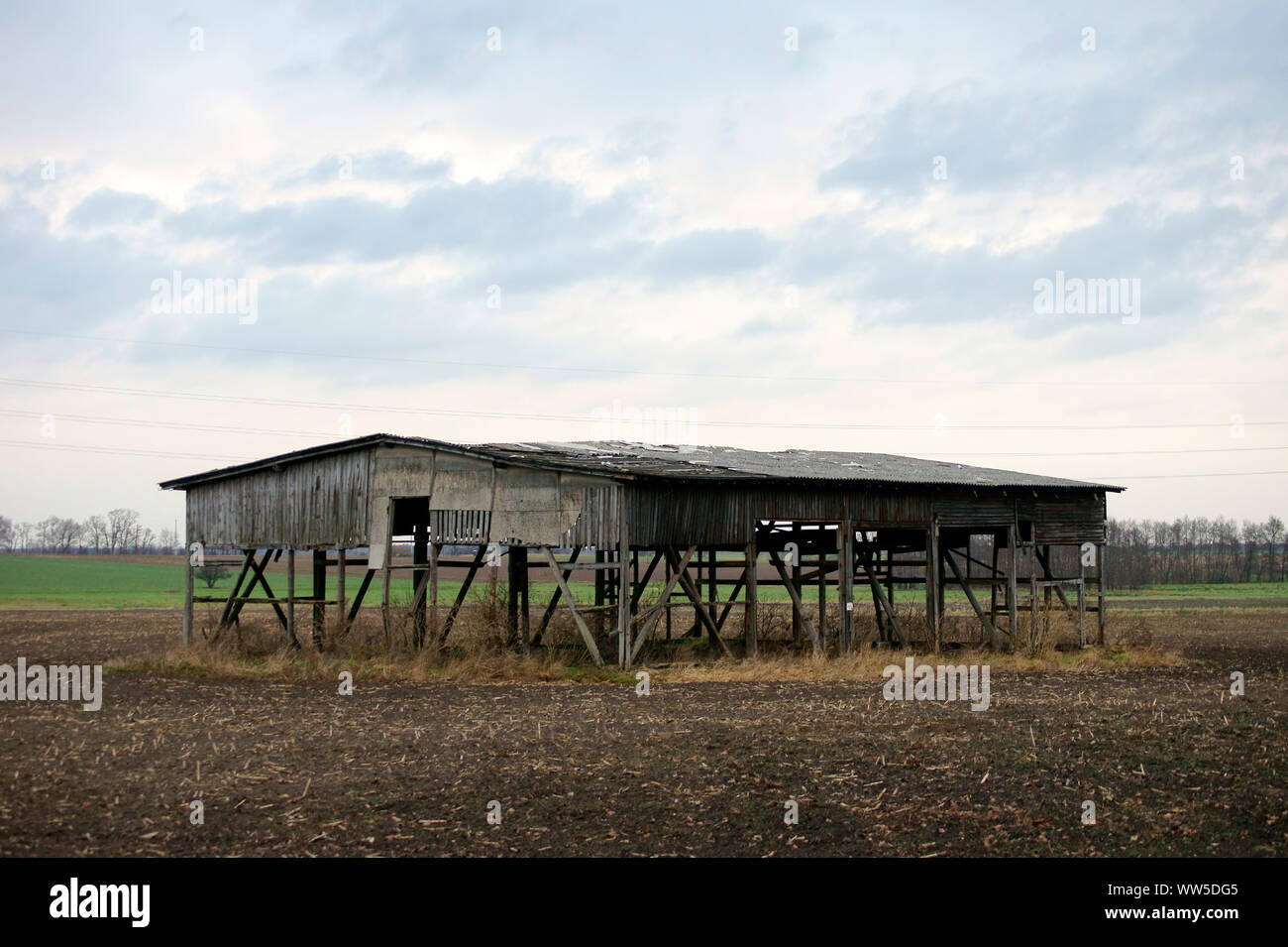 Old ruined barn hi-res stock photography and images - Alamy