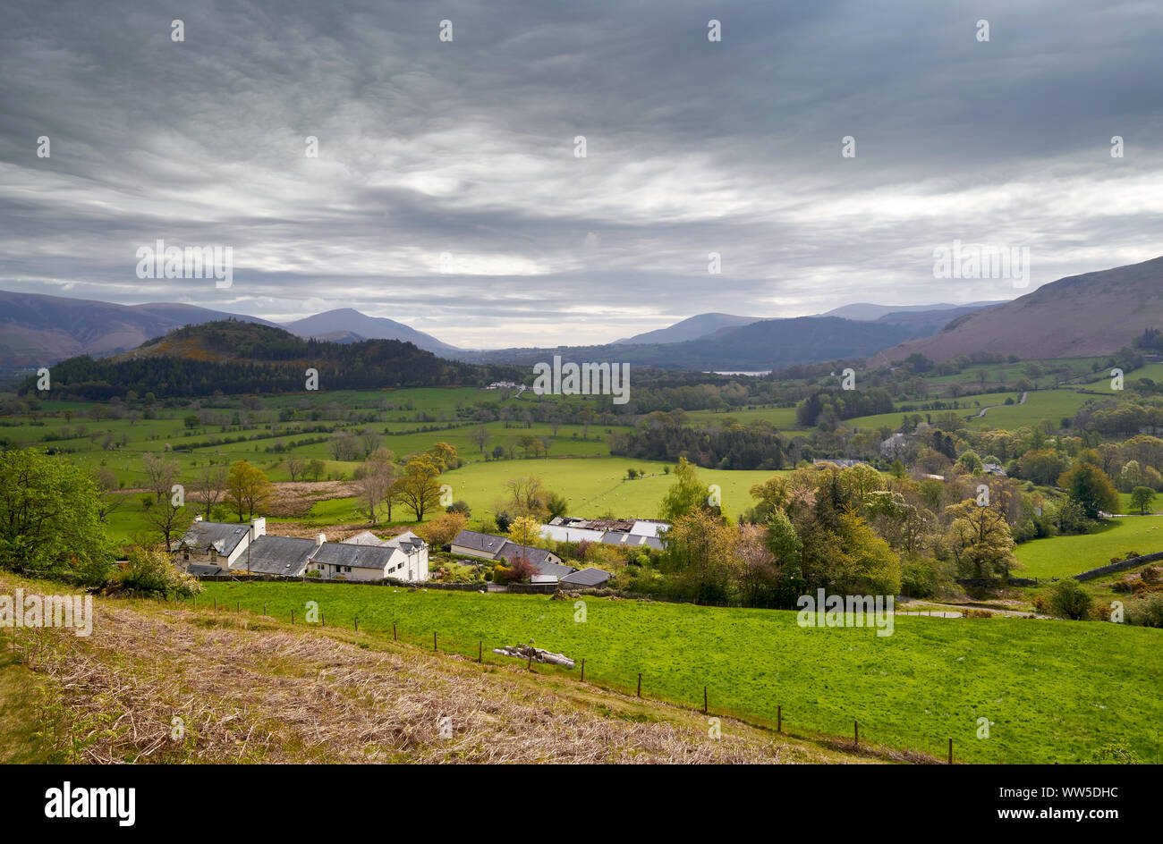 White farm buildings in spring green pastures around Stoneycroft in the ...