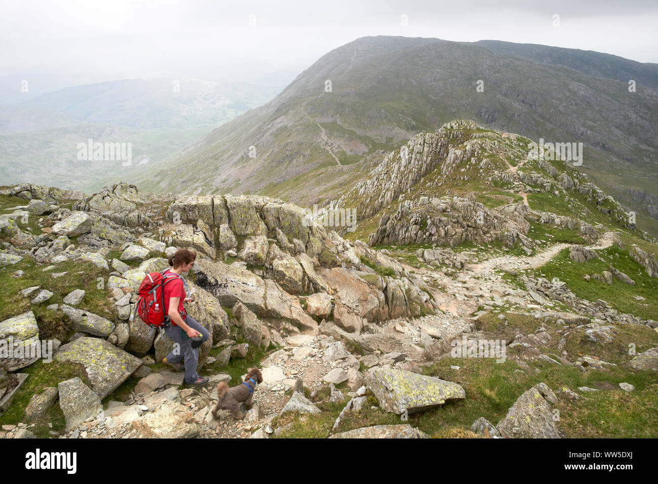 A hiker and their dog decending the rocky ridge of Prison Band towards ...