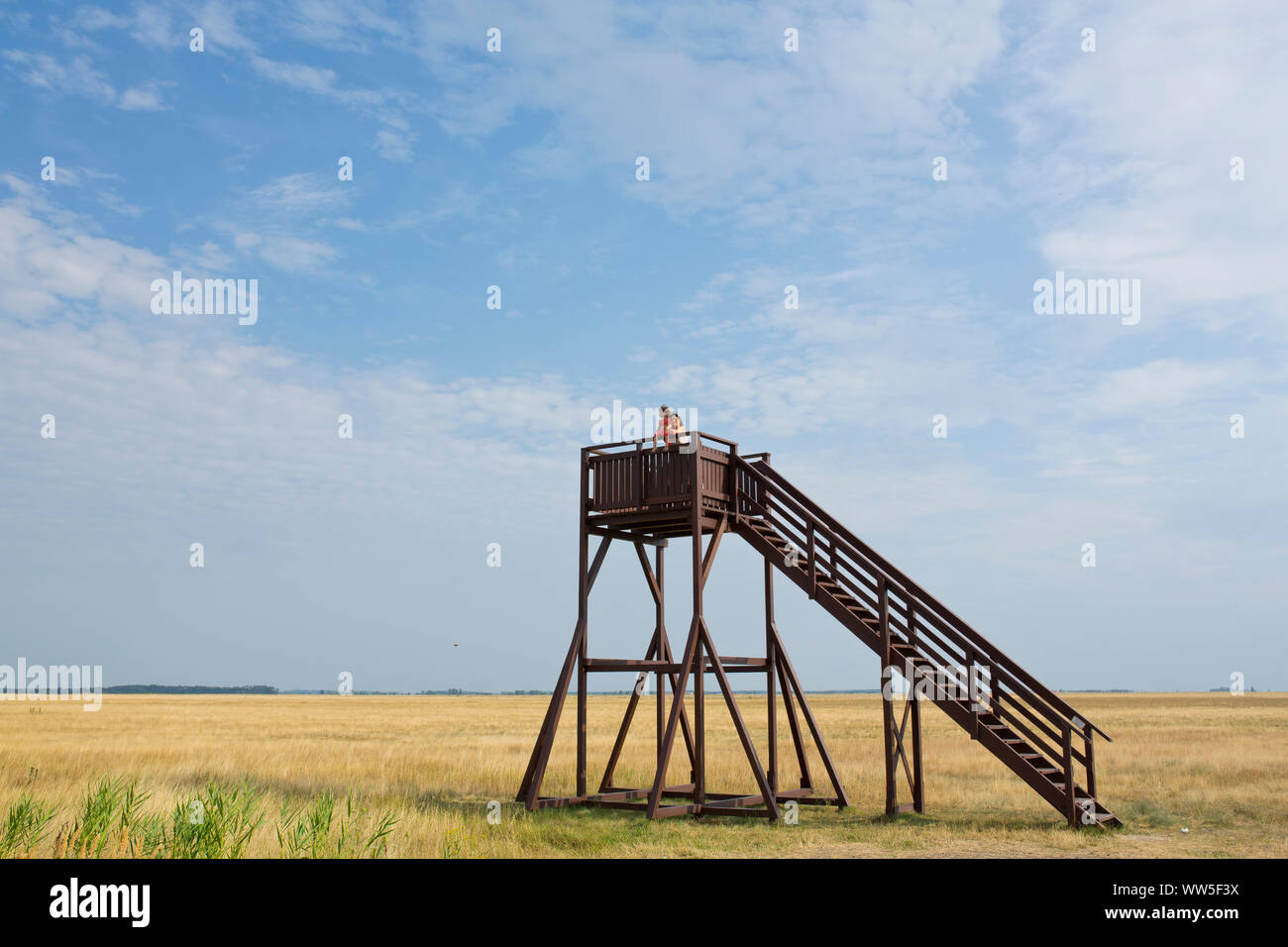 wooden observation tower on a field Stock Photo - Alamy