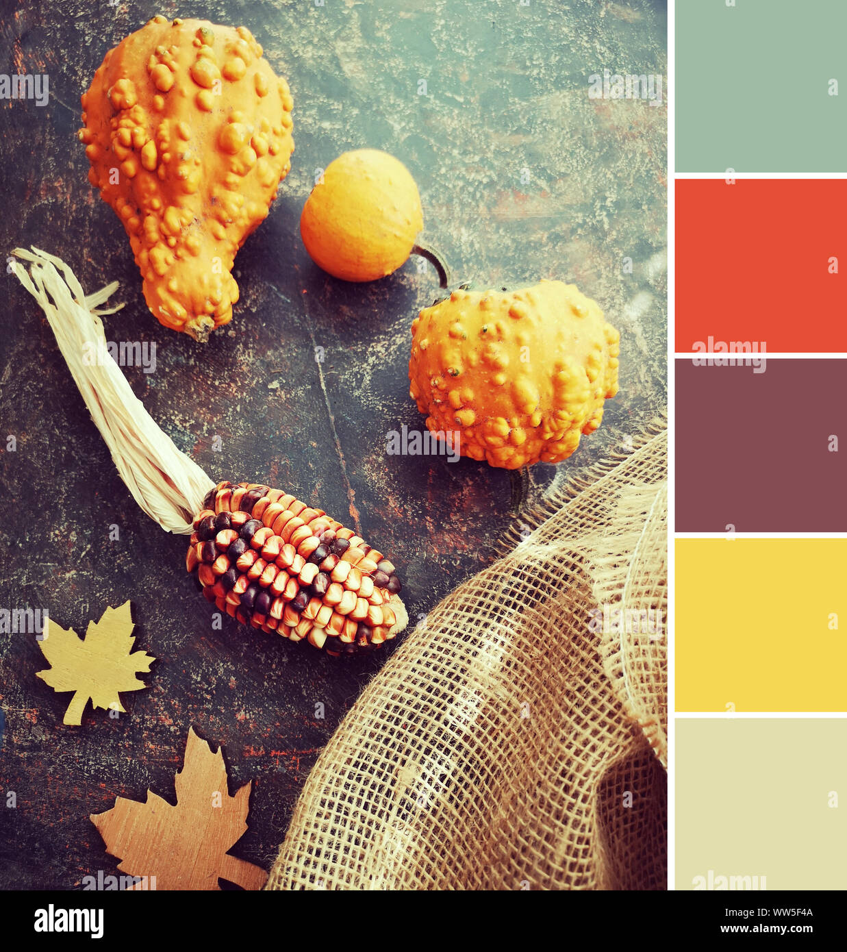 Analogous Color Scheme Photography