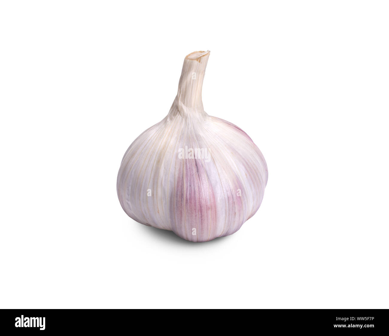 Garlic bulb Isolated against a white background Stock Photo - Alamy