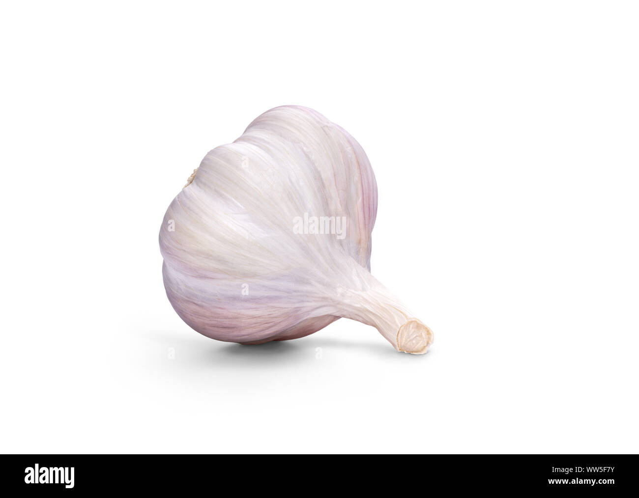 Garlic bulb Isolated against a white background Stock Photo - Alamy
