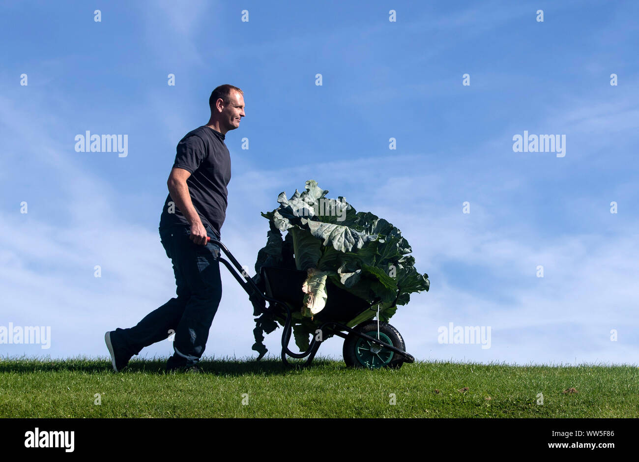 Craig Pearson with his winning giant cabbage weighing 27.4 kilos, after ...