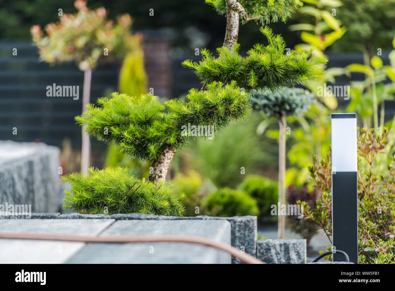 Newly Developed Residential Backyard Garden Closeup Photo Stock Photo ...
