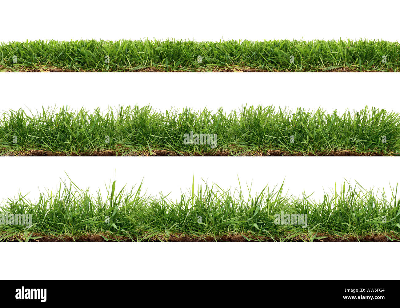 A collection of real grass borders, short, medium and long grass edges ...