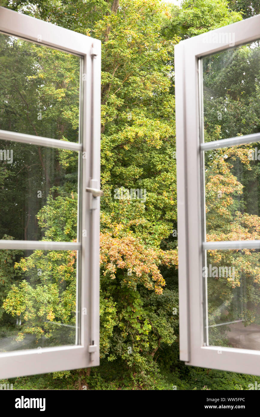 view out of a window in Oostkapelle on the peninsula Walcheren, forest ...